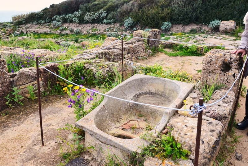 Selinunte: Archeological Park Entry Ticket & App Audioguide - FAQ