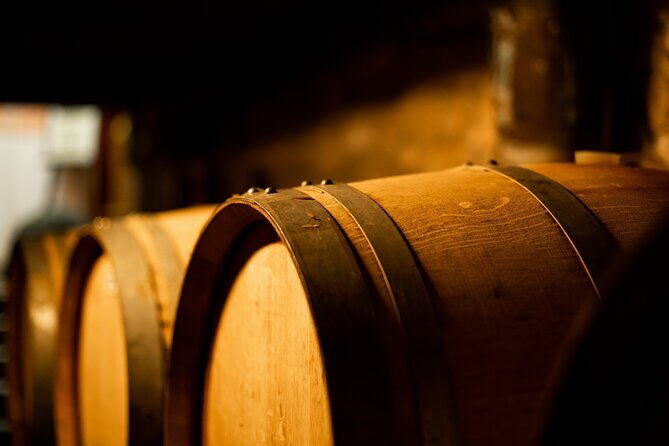 Sella delle Spine Taurasi: Tasting, Vineyard and Cellar Tour - Discovering the Heart of Taurasi: What to Expect