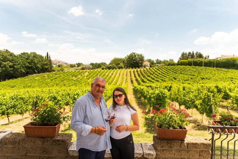 Sella delle Spine Taurasi: Tasting, Vineyard and Winery Tour - Exploring the Sella delle Spine Taurasi: Tasting, Vineyard, and Winery Tour