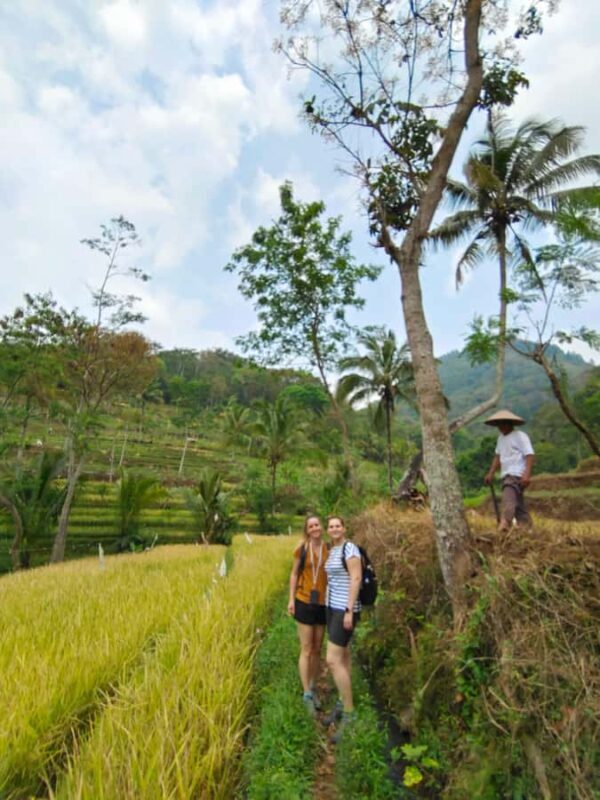 Selogriyo Temple and treking Java Rice Terrace and waterfall - Who Would Love This Tour?