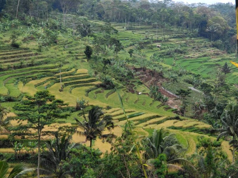 Selogriyo Temple and treking Java Rice Terrace and waterfall - FAQ