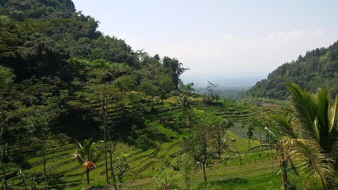 Selogriyo Temple and Trekking Java Rice Terraces, hidden waterfall -Nature Java - Key Points