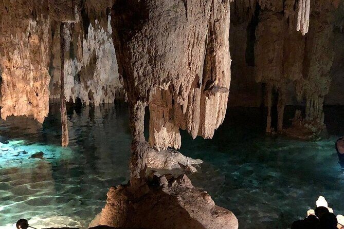 Selva Maya Eco Adventure Park: Ziplining, Hanging Bridges, Rappelling and Cenote - What to Expect: An Adventure in the Heart of Tulum’s Rainforest