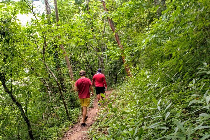 Selva y Playas Exóticas, Senderismo en Puerto Vallarta - Returning by Boat and Extra Tips