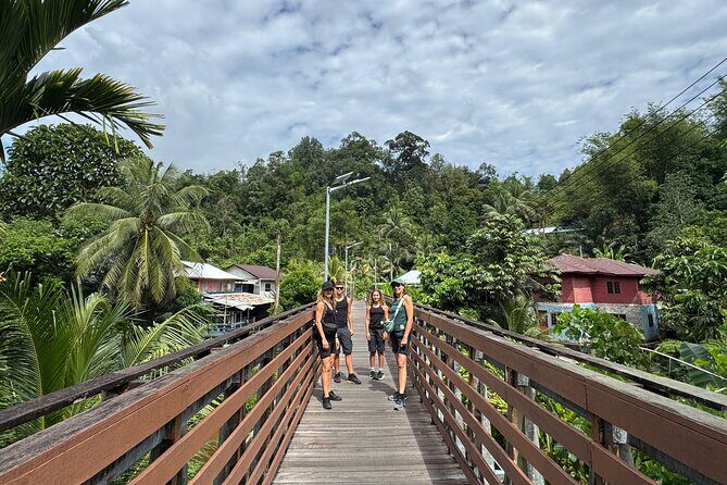 Semenggoh Orangutan and Annah Rais Longhouse - Who this tour is perfect for