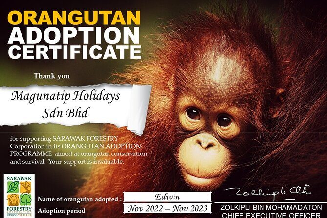 Semenggoh Orangutan Center & Sarawak Cultural Village - Practical Details & What to Expect