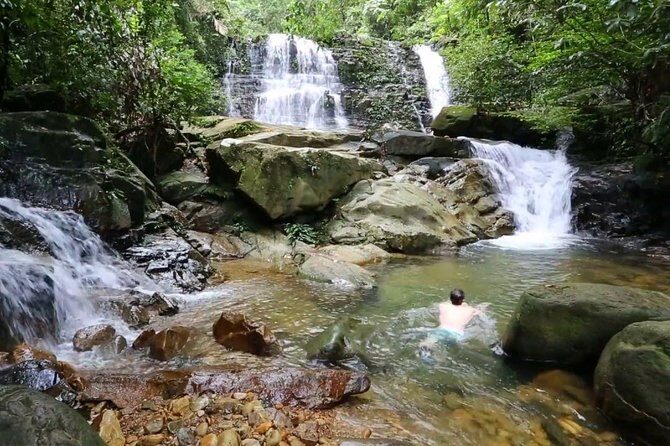 Semenggok Wildlife Centre - Is This Tour Worth It?