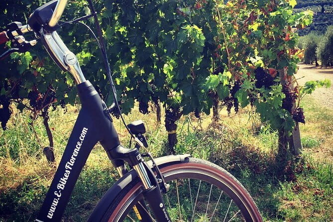 Semi-Private Chianti Wine Tour with Dinner in Tuscany Vineyard - FAQ