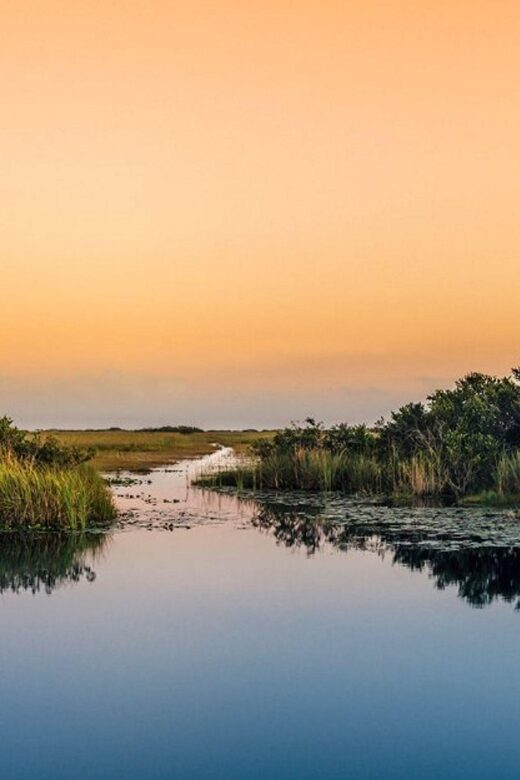 Semi-Private Everglades Tour from Miami Or Fort Lauderdale - An In-Depth Look at the Tour Experience