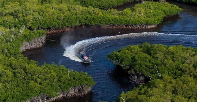 Semi-Private Everglades Tour from Miami Or Fort Lauderdale - The Practicalities and Logistics
