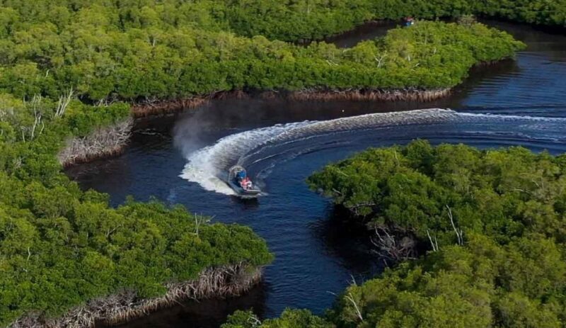 Semi-Private Everglades Tour from Miami Or Fort Lauderdale - Who This Tour Is Best For