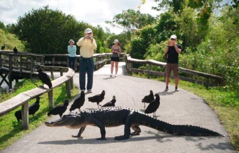 Semi-Private Everglades Tour from Miami Or Fort Lauderdale - Frequently Asked Questions