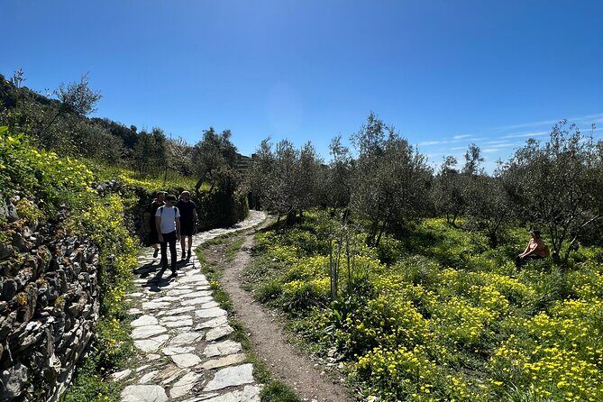 Semi-Private Guided Hiking Cinque Terre Tour from Florence - The Sum Up