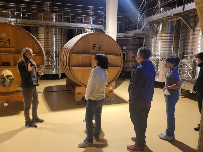 Semi-Private La Rioja Tour of 3 Premium Wineries from Bilbao - In The Sum Up: Who Should Consider This Tour?