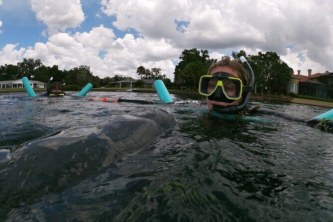 Semi-Private Manatee snorkeling with In Water Guide - Final Thoughts
