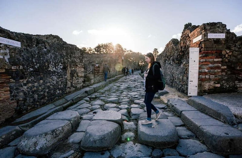 Semi-private Pompeii guided tour and typical lunch from Rome - Key Points