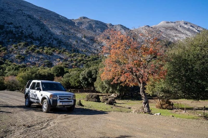Semi Private Psiloritis Mountain of Gods & Cooking Lesson - Exploring Crete’s Sacred Heights and Flavors: A Review of the Semi-Private Psiloritis Mountain of Gods & Cooking Lesson