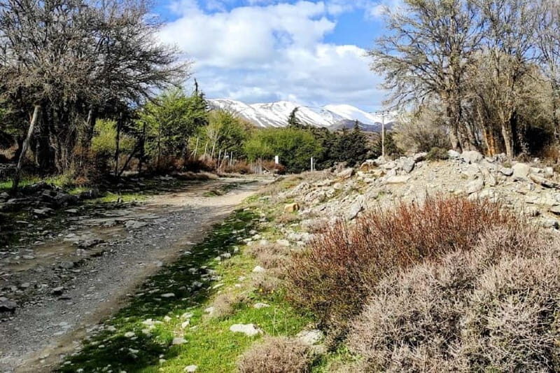 Semi Private Psiloritis Mountain of Gods & Cooking Lesson - The Heart of the Day: Local Flavors and Crete’s Culinary Traditions