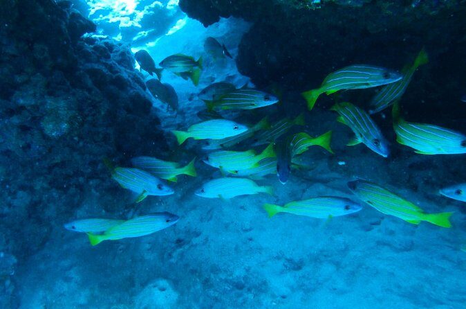 Semi -Private Snorkel Escursions in Lahaina, Maui - The Meeting Point and Logistics