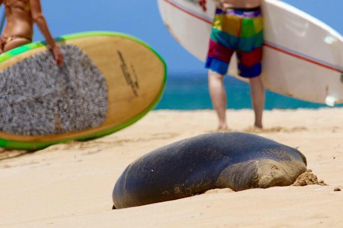 Semi-Private Surf Lesson - Practical Considerations