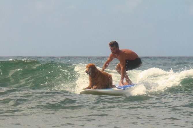 Semi-Private Surf Lesson - Final Thoughts