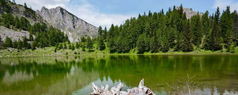 Semi-Private Tour; Explore Kosovo, Europes Youngest Country - Who Should Consider This Tour?