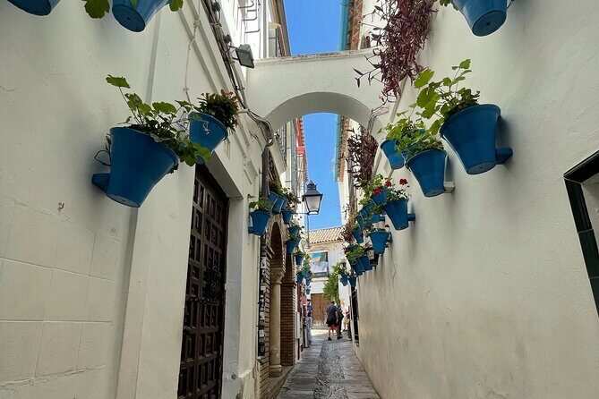 Semi Private Tour to Córdoba from Nerja - In-Depth Look at the Itinerary