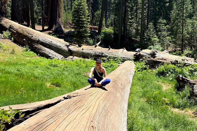 Semi Private Tour to Sequoia National Park with Lunch - Key Points