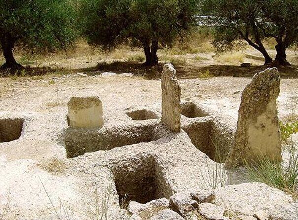 Semi Private Wine and Olive Oil tour (Transfer & Lunch Incl.) - Key Points