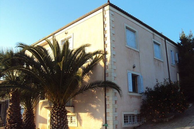 Semi Private Wine and Olive Oil tour (Transfer & Lunch Incl.) - The Itinerary in Detail