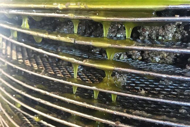 Semi Private Wine and Olive Oil tour (Transfer & Lunch Incl.) - Practical Details