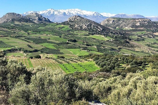 Semi Private Wine and Olive Oil tour (Transfer & Lunch Incl.) - Final Thoughts