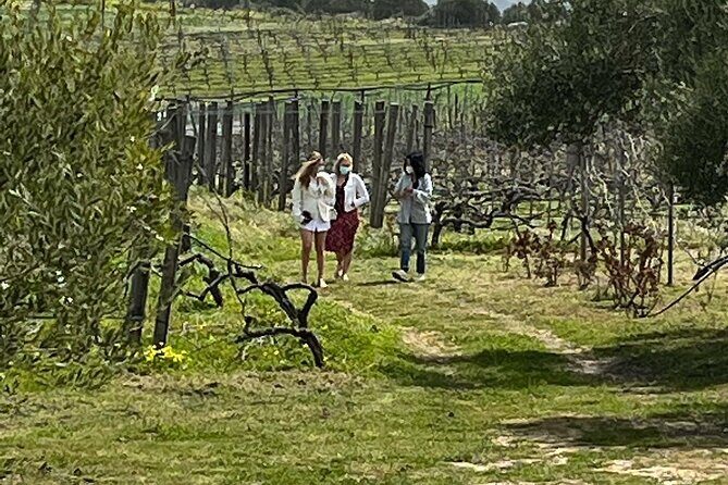 Semi-Private Wine Tour of 2 wineries with wine Tastings - An In-Depth Look at the Tour Itinerary