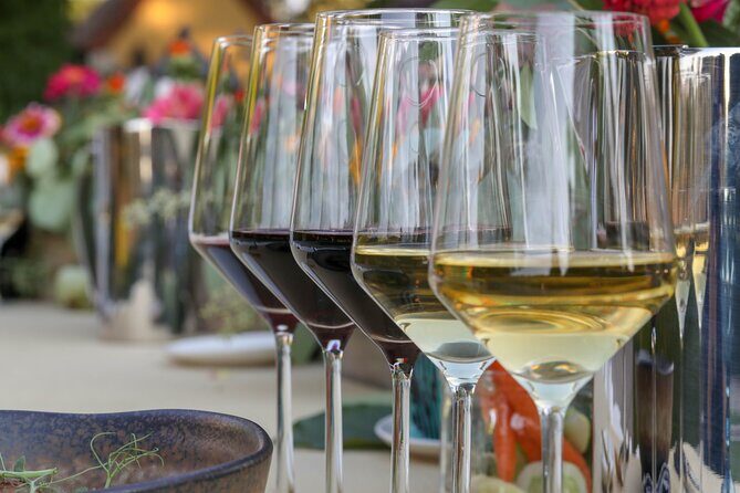 Semi-Private Wine Tour of 2 wineries with wine Tastings - What Makes This Tour Stand Out?