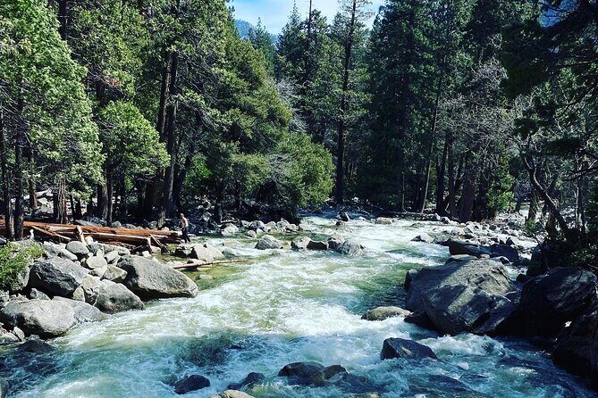 Semi Private Yosemite Valley Tour with Hotel Pick Up and Lunch - Key Points