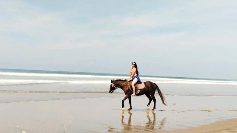 Seminyak: Bali Horse riding Adventure Seminyak Beach - Key Points