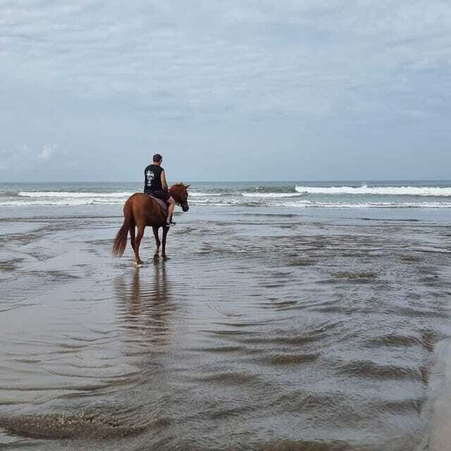 Seminyak Beach Horse Riding Experience - Who Should Consider This Tour?