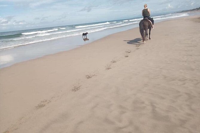 Seminyak Beach Horse Riding in the most beautyfull beach In bali - FAQ