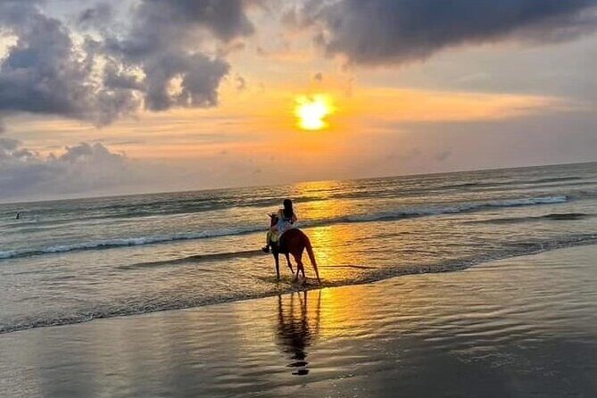 Seminyak Horse back riding In the beach - Pricing and Booking: Is It Worth It?