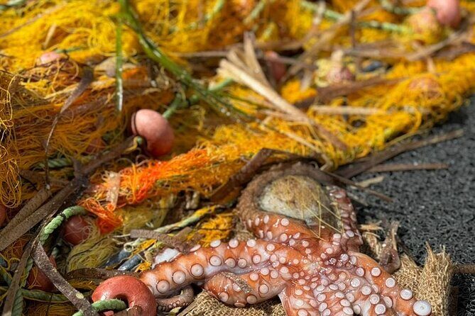 Semipriv FishingTour on Kaiki Paros/Naousa or Private sunset tour - The Sum Up
