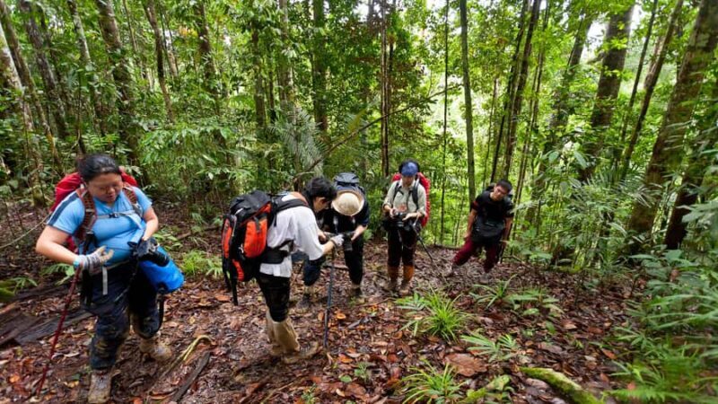 Semporna: 4-Day Maliau Basin Hiking Expedition - Practical Details, Transportation, and Value