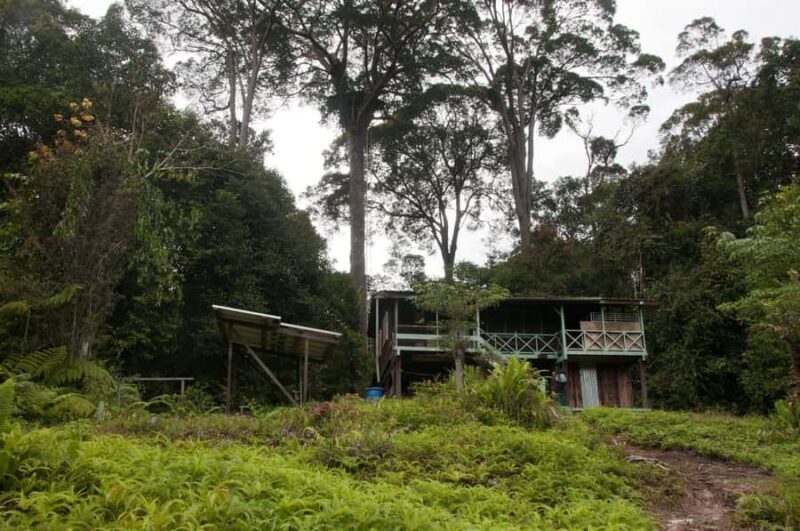 Semporna: 4-Day Maliau Basin Hiking Expedition - Who Will Love This Tour?