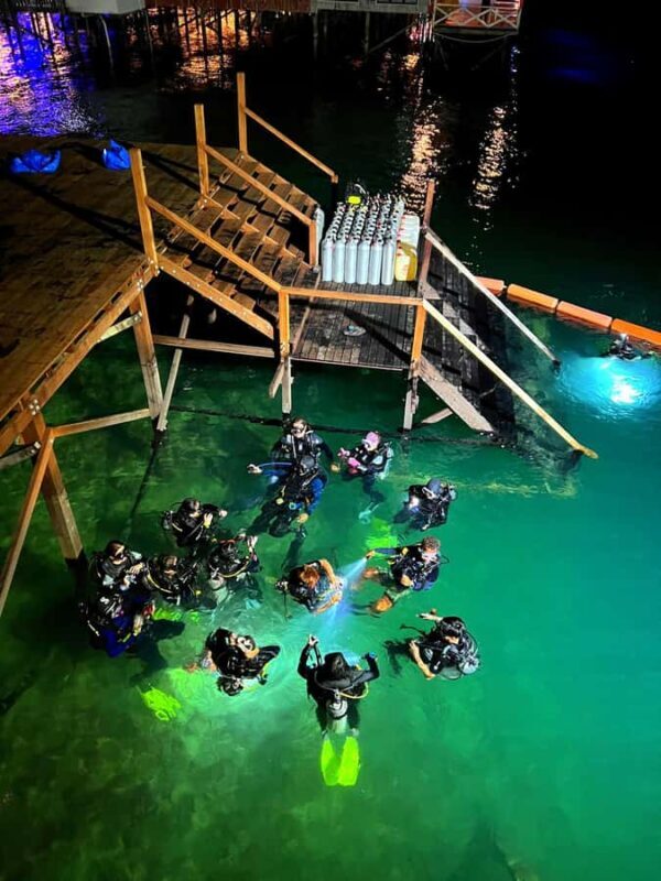 Semporna: Dive Buwan Reef at Night with Dinner & Transfer - An In-Depth Look at Semporna’s Night Dive Experience
