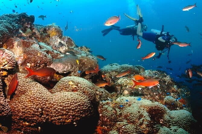 Semporna Hike Bohey 3 Island Snorkel Dive Tour and Lunch - Final Thoughts: Is It Worth It?