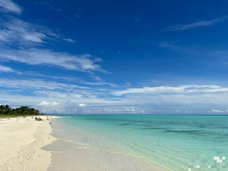 Semporna Island Hopping & Diving 3-Day Trip - An In-Depth Look at the Tour Experience