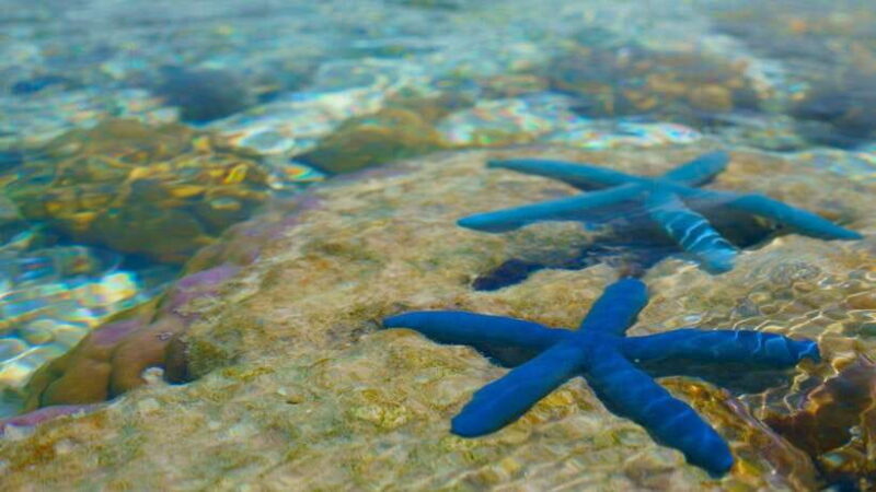 Semporna : Island Hopping Tropical Trio Sabah - Practical Tips for a Smooth Day