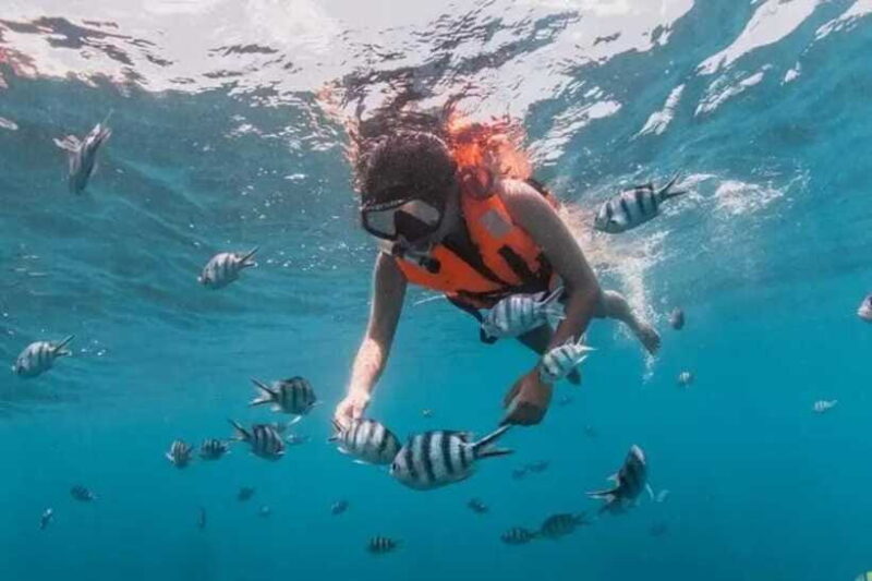 Semporna : Mabul and Kapalai Island Hopping shared tour - Who Should Consider This Tour?