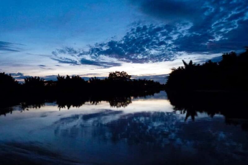 Semporna: Mangrove Cruise, Fireflies, Dinner & Transfer - Key Points