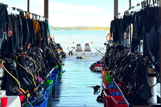 Semporna Night Dive Buwan Reef With Dinner by Boat - Analyzing the Value