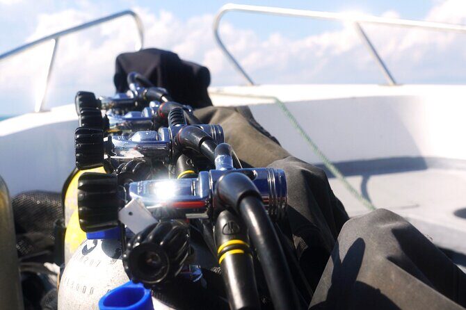 Semporna Night Dive Buwan Reef With Dinner by Boat - Final Thoughts